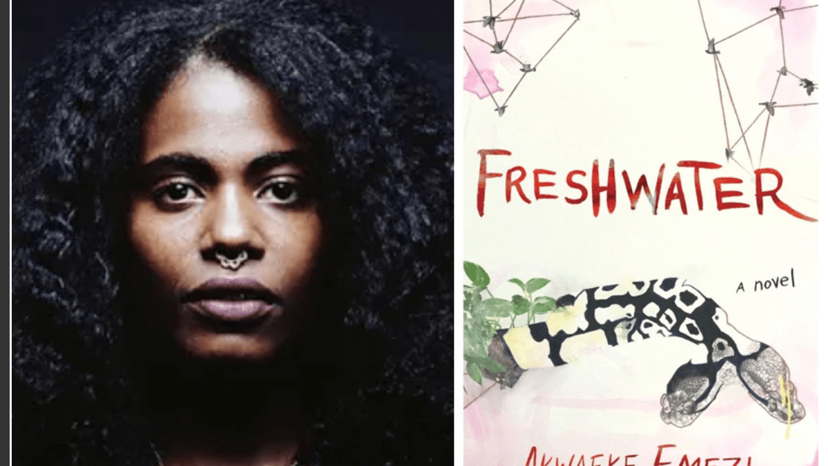 Freshwater de Akwaeke Emezi: su nombre es legión – Literafricas